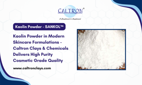 Kaolin Powder SANKOL™ – Leading Kaolin Powder Supplier in India ...